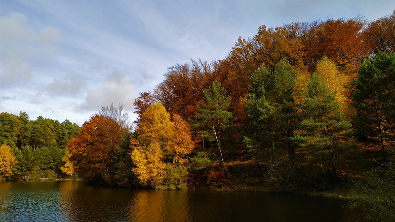 Office de Tourisme de la Chataigneraie Cantalienne